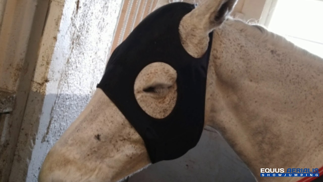 Liquid Titanium Mask - YouTube