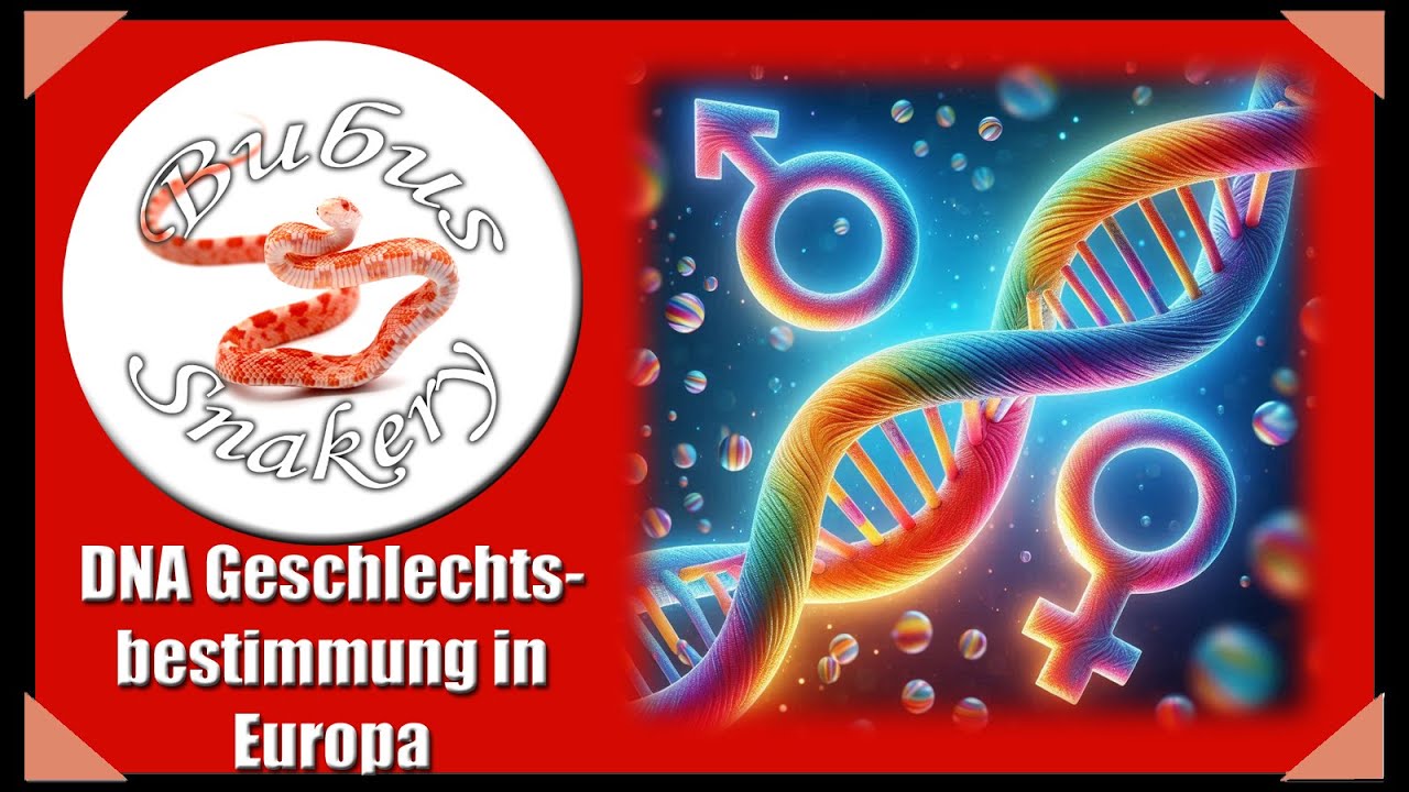 Update: DNA Geschlechtsbestimmung bei Kornnattern / Nattern in Europa ...