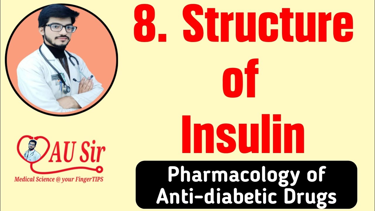 Structure of Insulin | Anti-diabetic Drugs by AU Sir | Endocrine ...