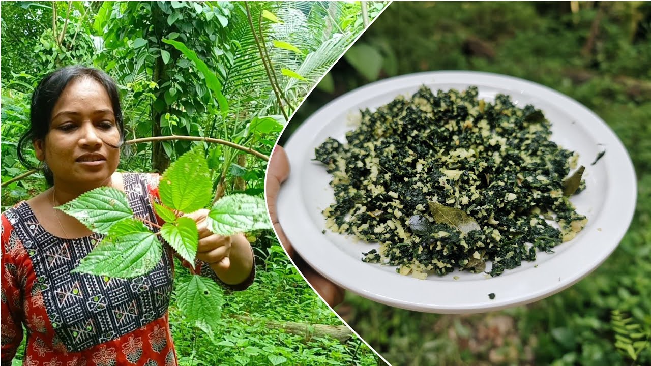 Hunt for edible plant / Kodutha thoran / Vlog / Choriyan cheera ...