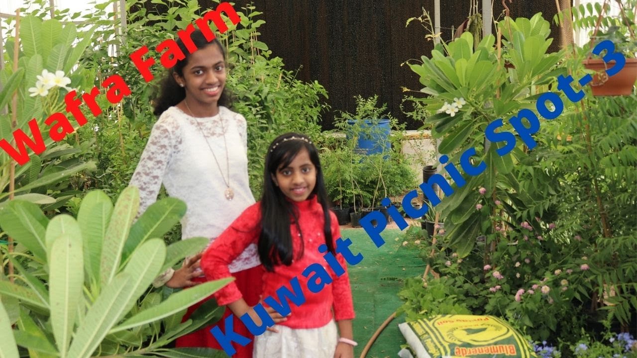 Kuwait picnic spot | Wafra Farm | Travel Vlog | Desert Farm | GloMoNo ...