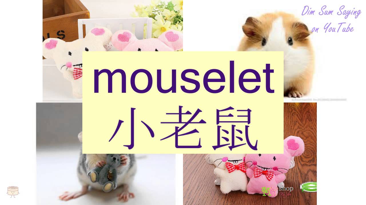 "MOUSELET" in Cantonese (小老鼠) - Flashcard - YouTube