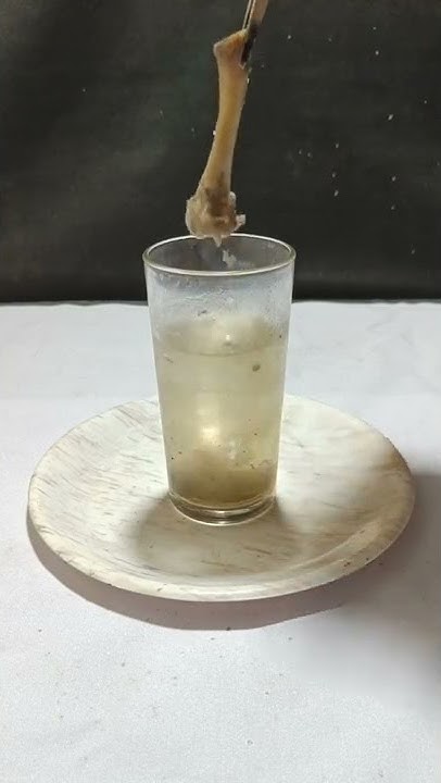 Bone and vinegar science experiment - YouTube