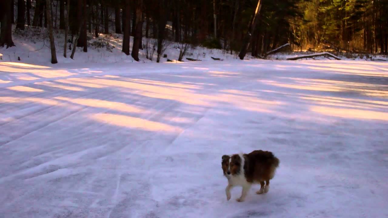 Crooked Spring Chelmsford Winterfest 2014 #4 - YouTube