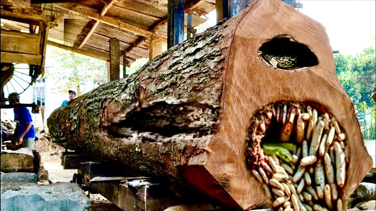 Nearly seriously injured while sawing a large mahogany stump - YouTube
