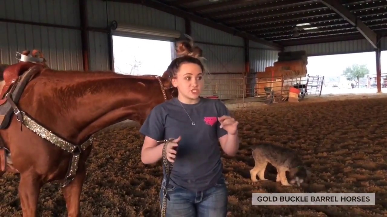 An Evening at Gold Buckle- Off the Curb Chain with Kendra Dickson - YouTube