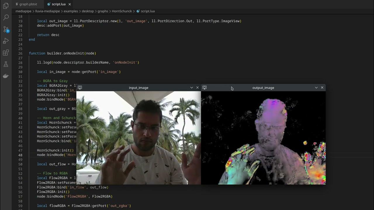 Real-time Horn and Schunck optical flow with Lluvia and Mediapipe - YouTube