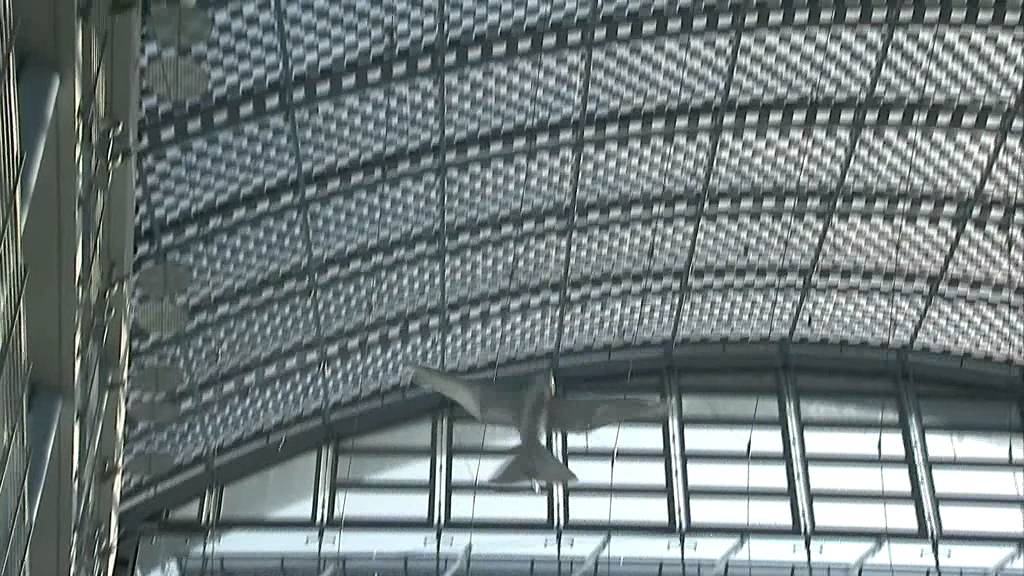 Robot Bird Flies Like Real Bird - YouTube