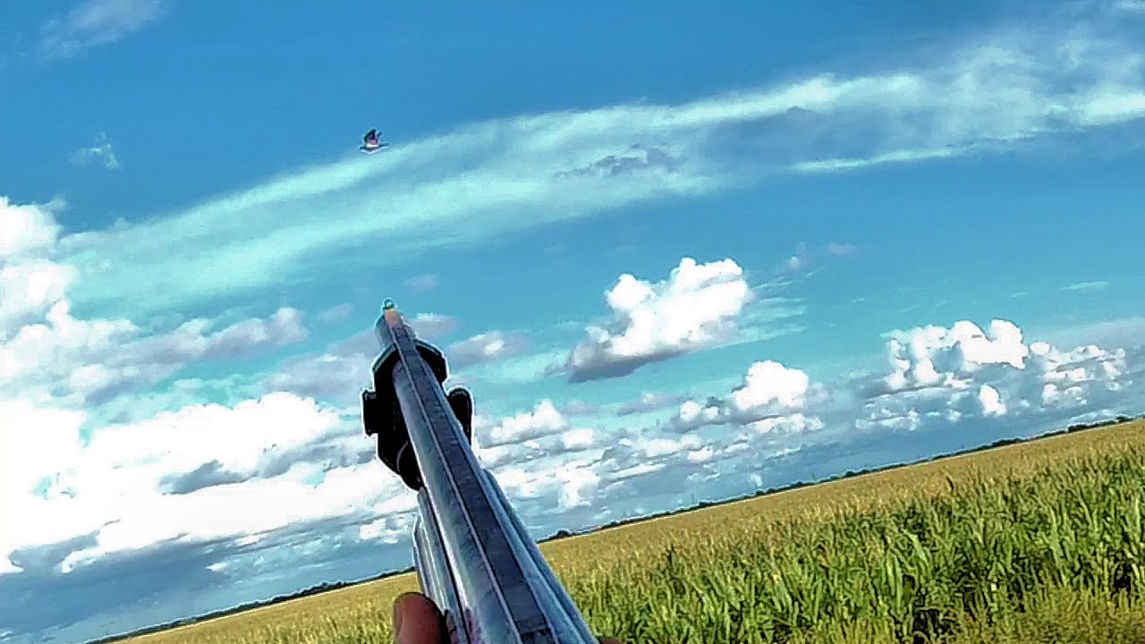 🦆 Best Budget Gun Barrel Camera for Hunting! Does this mini DV sports ...