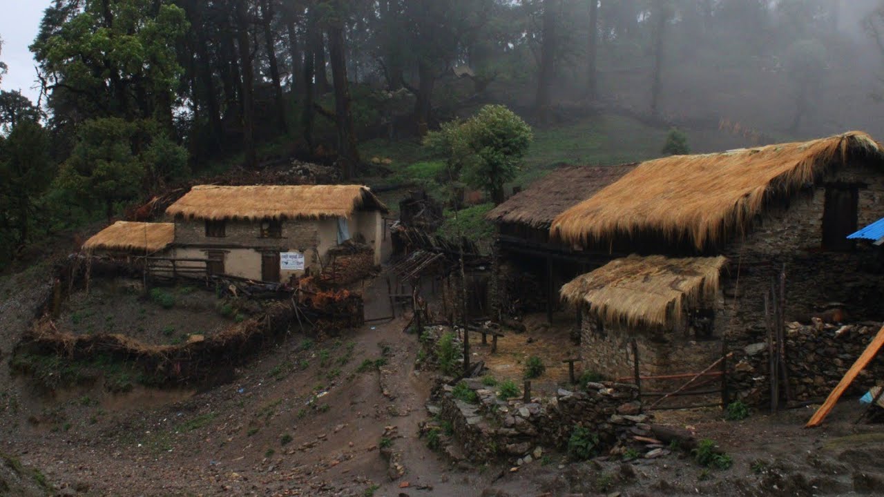 Typical Remote Nepali Village Food Bhat and Sinki |Cooking And Eating ...