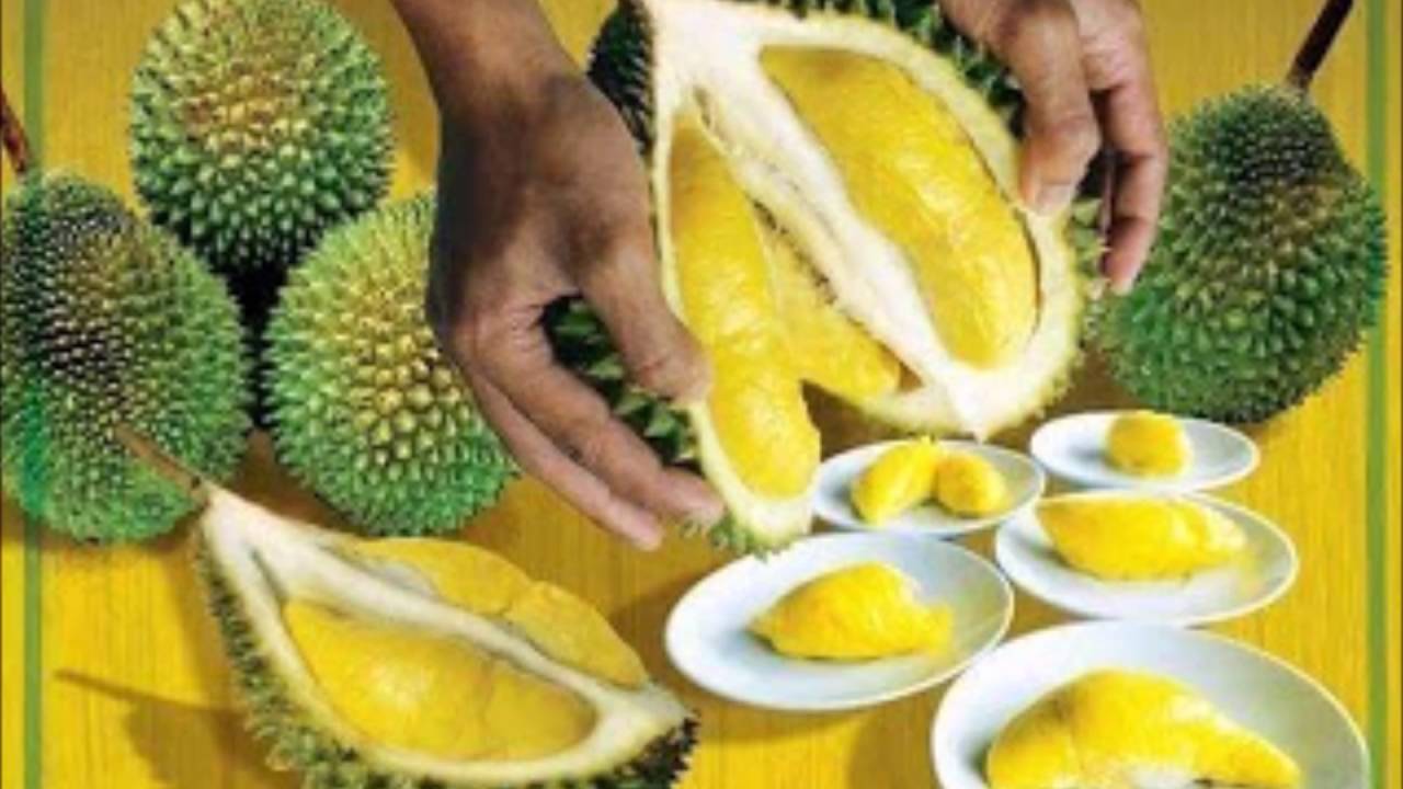 Durian - YouTube