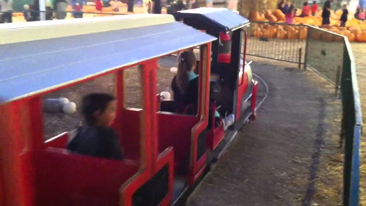 Pumpkin patch train - YouTube