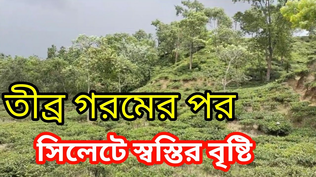 সিলেটের চা বাগান | তীব্র গরমের পর স্বস্তির বৃষ্টি | #sylhet - YouTube