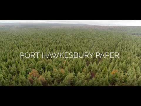 Port Hawkesbury Paper Mill Video - YouTube