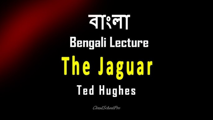The Jaguar Ted Hughes Poem | Sitedoct.org