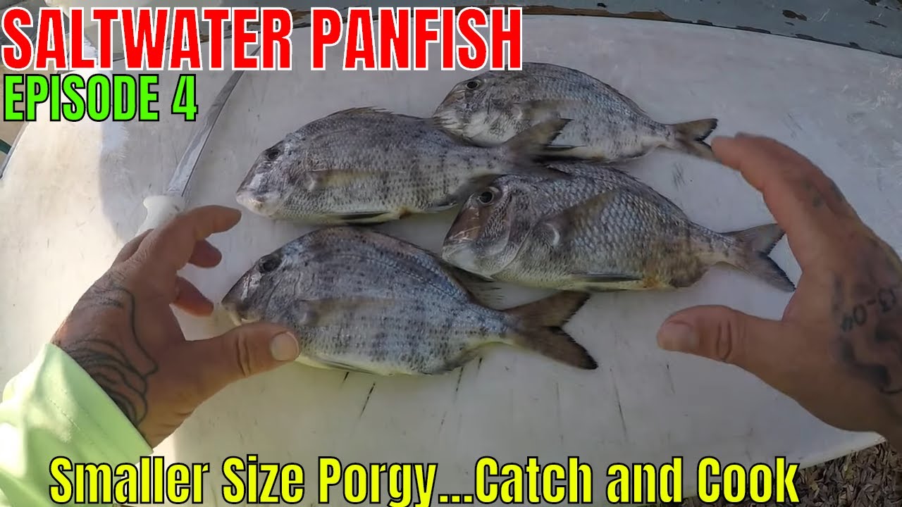 Saltwater Panfish Ep 4 Small whitebone Porgy Catch Clean and Cook - YouTube