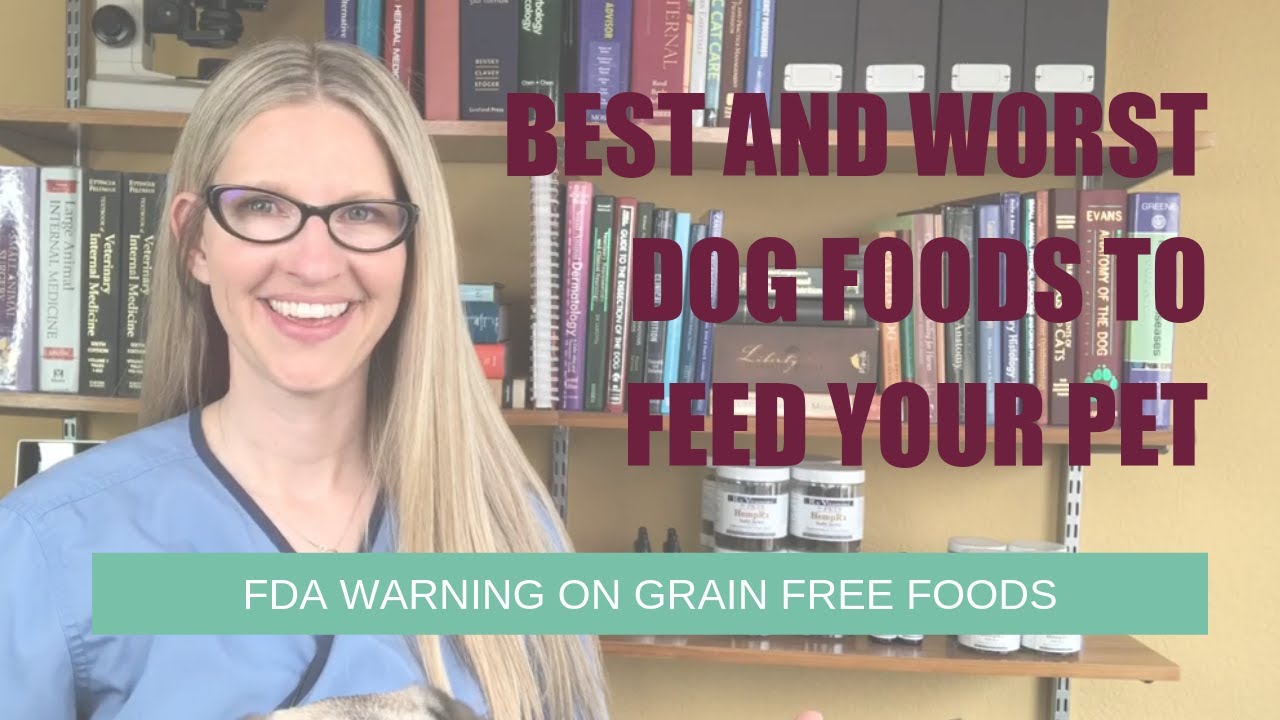 Best And Worst Dog Foods To Feed Your Pet FDA Warning Update Ask Dr best-and-worst-dog-foods-to-feed-your-pet-fda-warning-update-ask-dr