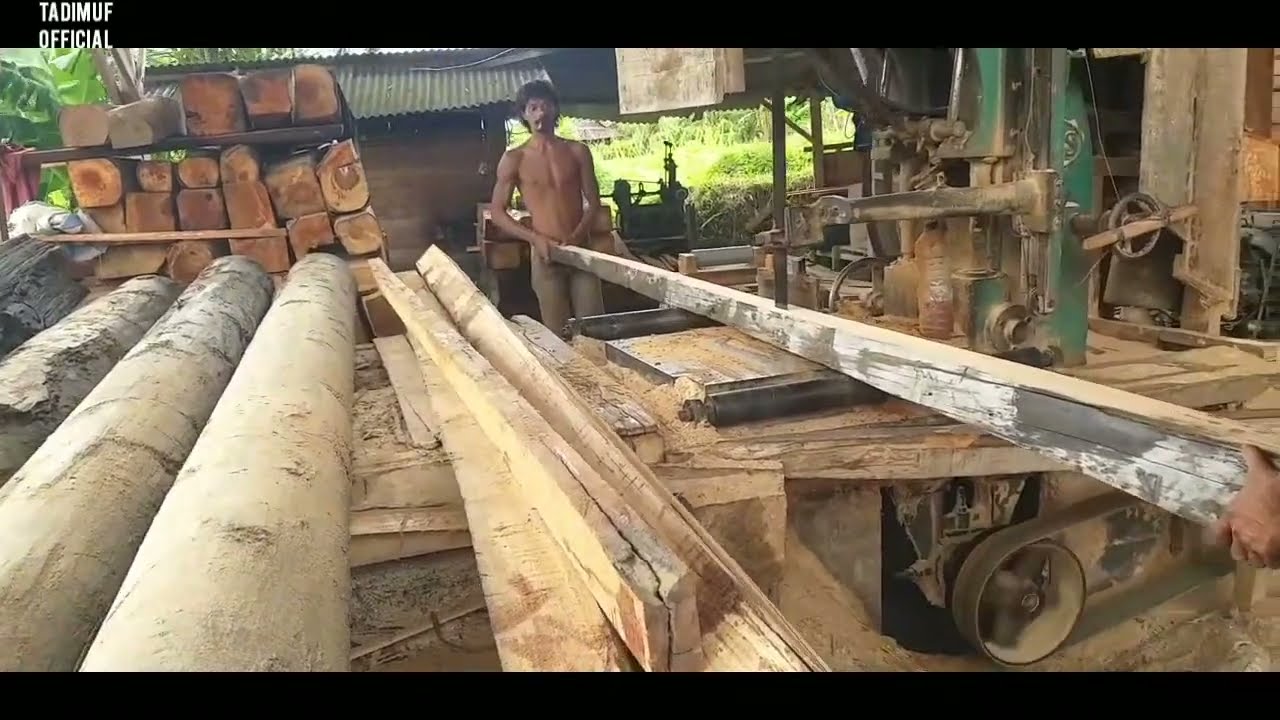 episode 2 membelah kayu kamper menjadi #balok dan kaso# - YouTube