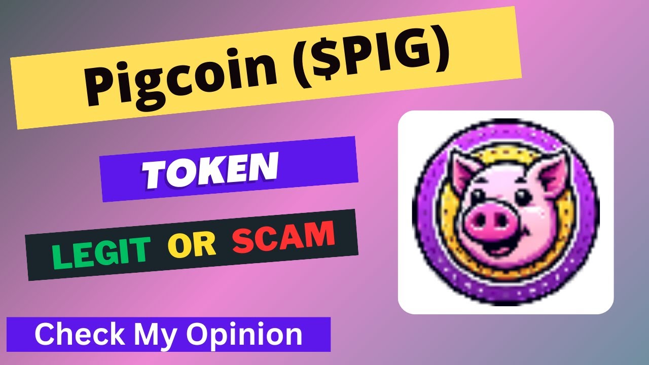 Pigcoin (PIG) Token is a Legit or Scam | Is PIG token Legit or Scam ...