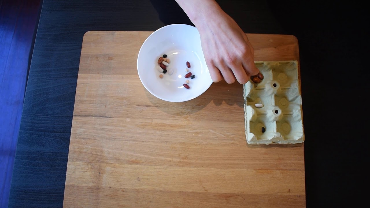 Sorting beans - YouTube
