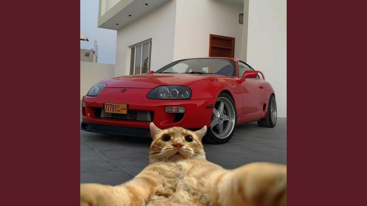 Sunny Trip! (Slowed + Reverb) - YouTube