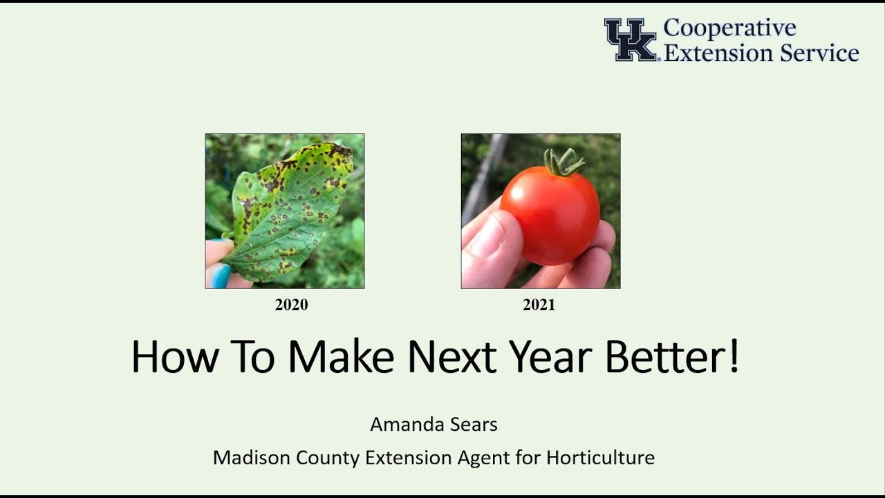 How To Make Next Year Better - YouTube