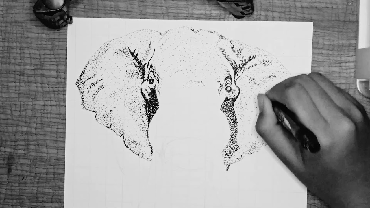 Elephant Stippling | Dot Art | Time lapse video - YouTube