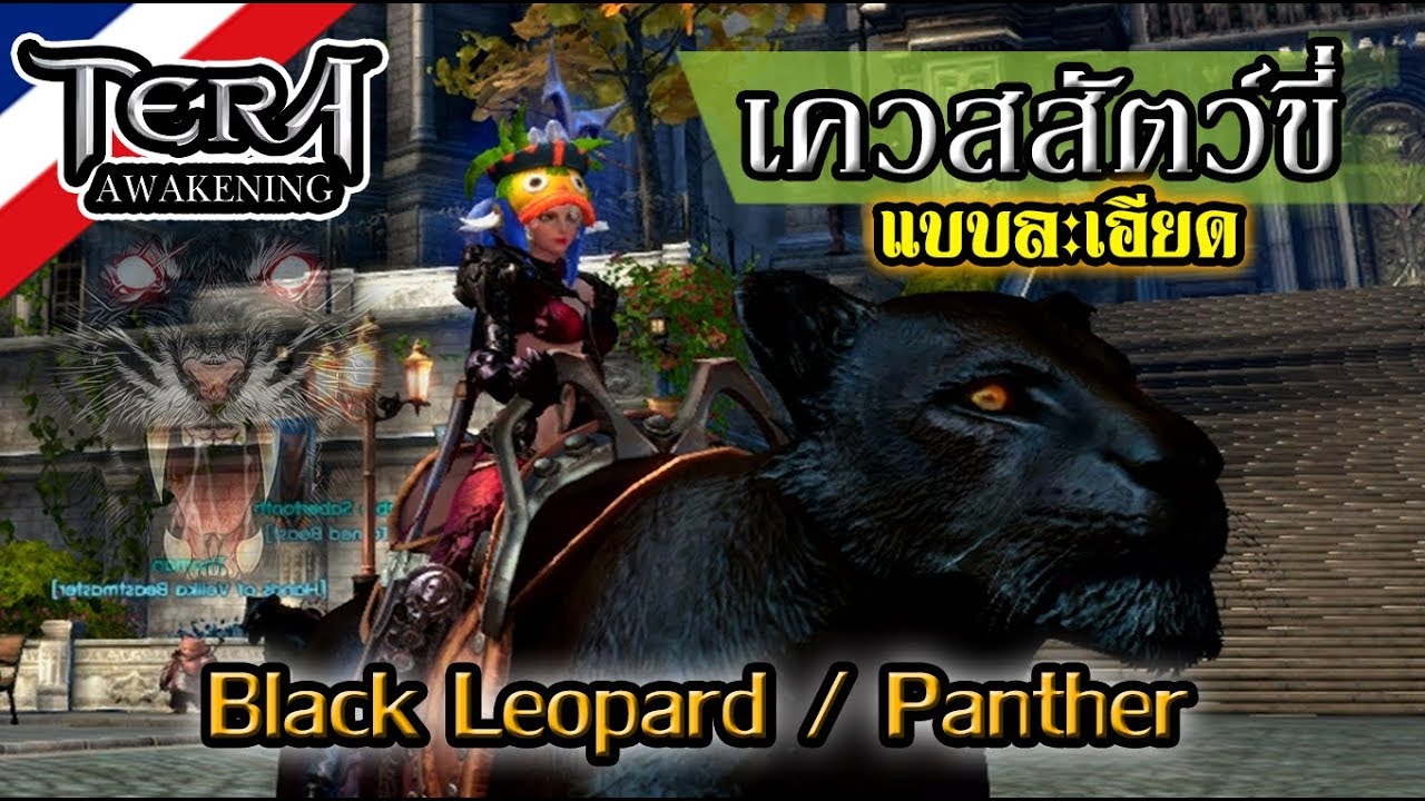 Tera Online - TERA - Free Mount!! เควสสัตว์ขี่ เสือดำ (Black Leopard ...