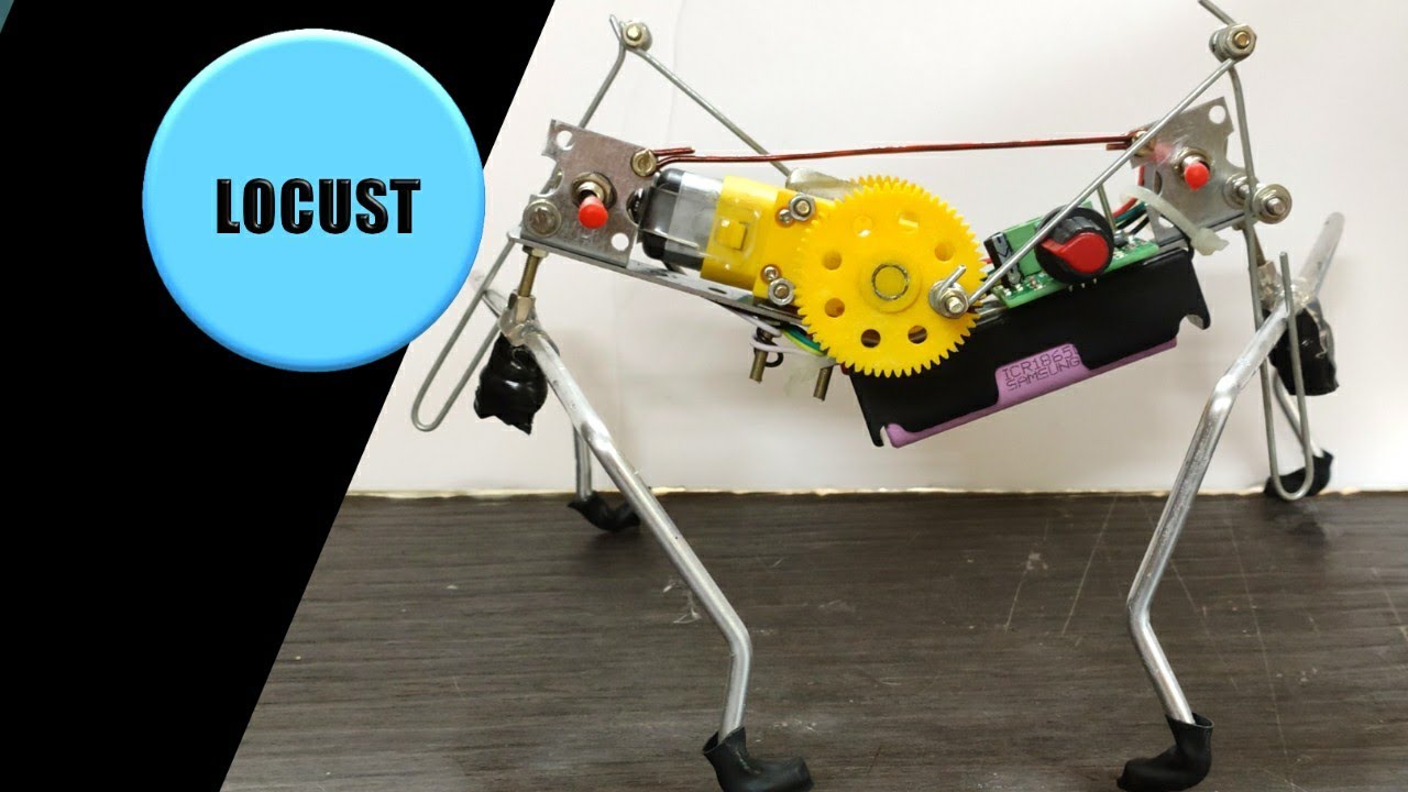 Locust Robot | Single motor Walker l Insect Robot|4 leg walking robot ...