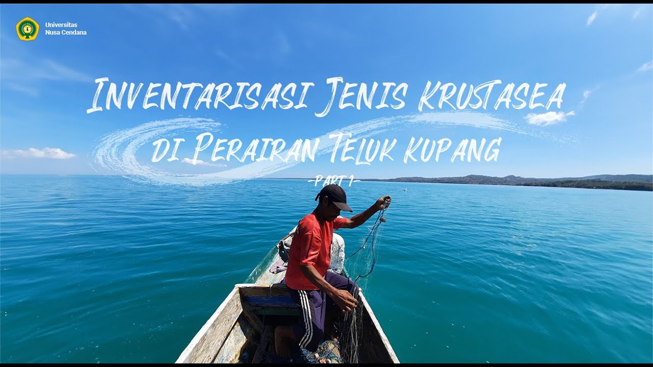 Penelitian Krustasea di Perairan Teluk Kupang Part 1 - YouTube