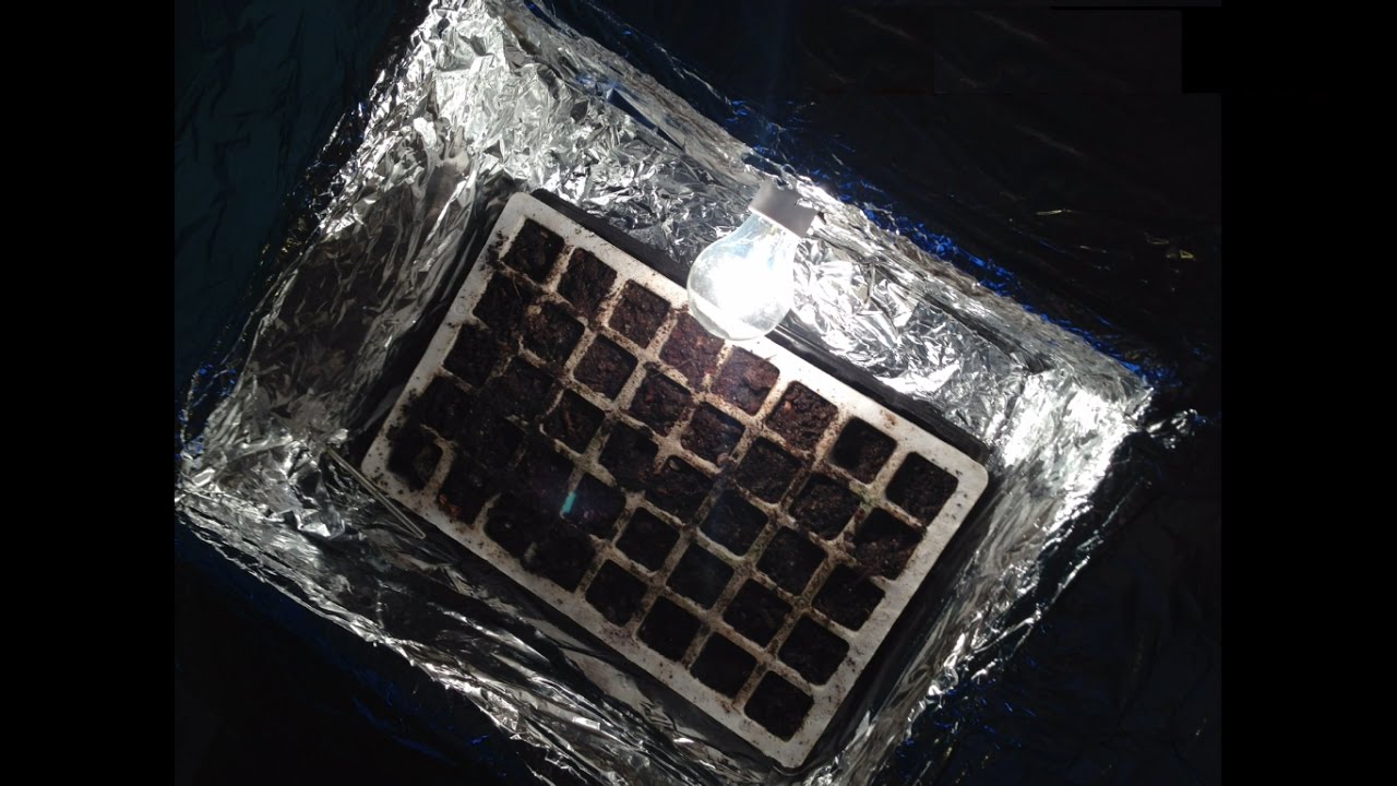 How to Make a DIY Heated Propagator - YouTube
