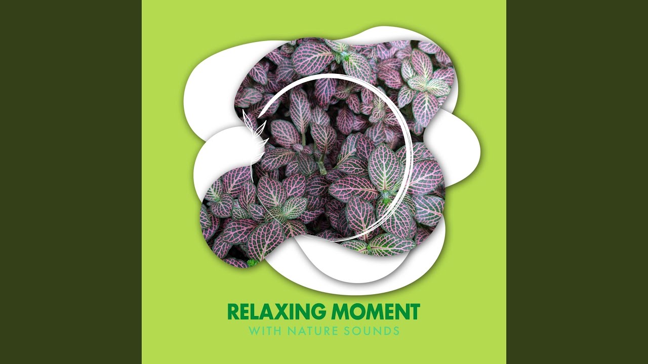 Distant Water - YouTube