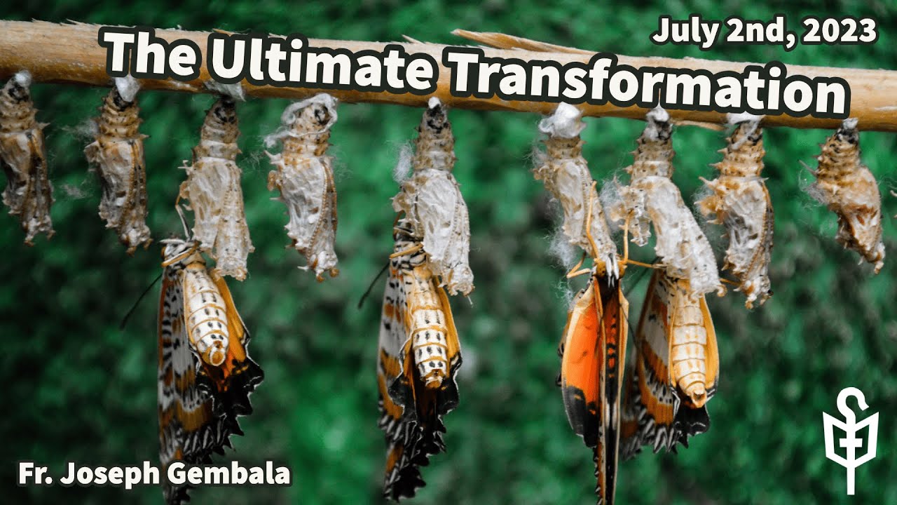 The Ultimate Transformation - YouTube