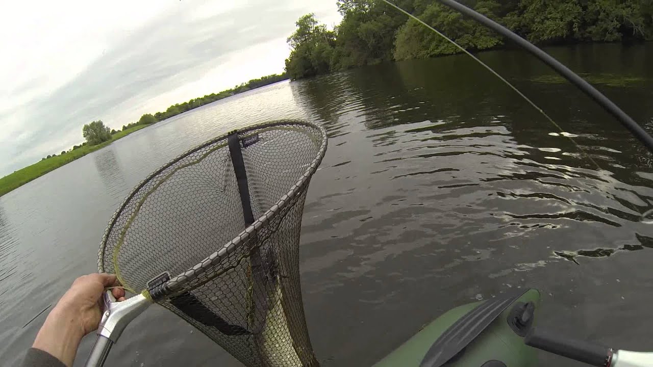 Pike fishing in ireland 2015 . Big bait, big fish Pescuit la stiuca in ...