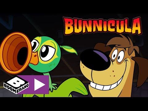 Bunnicula | The Annoying Musical Bird Monster | Boomerang UK 🇬🇧