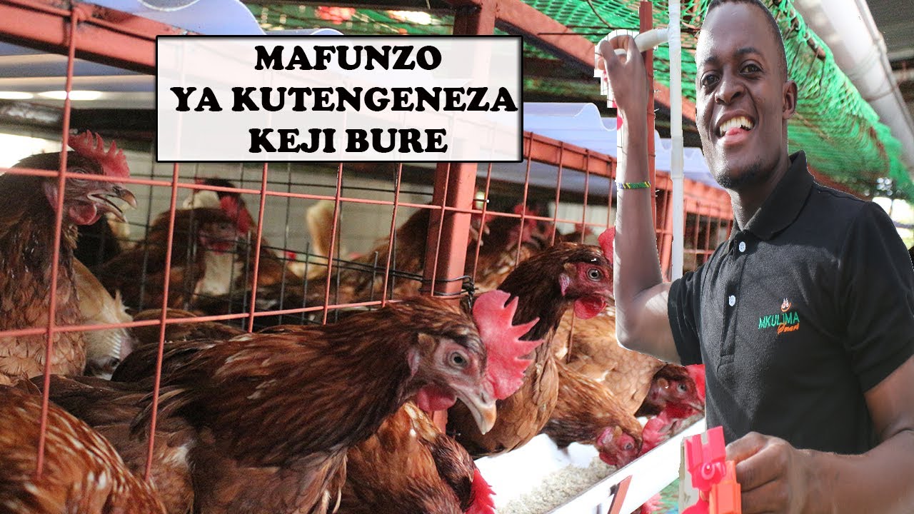 MAFUNZO YA KUTENGENEZA KEJI BUREE |UFUGAJI WA KUKU KWA KUTUMIA KEJI ...