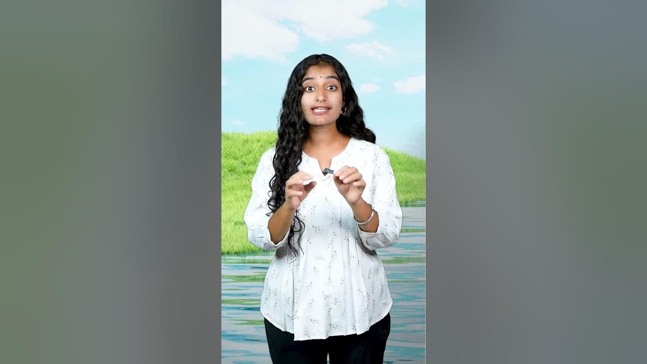 हसदेव में कितने पेड़ लगे हैं? - YouTube