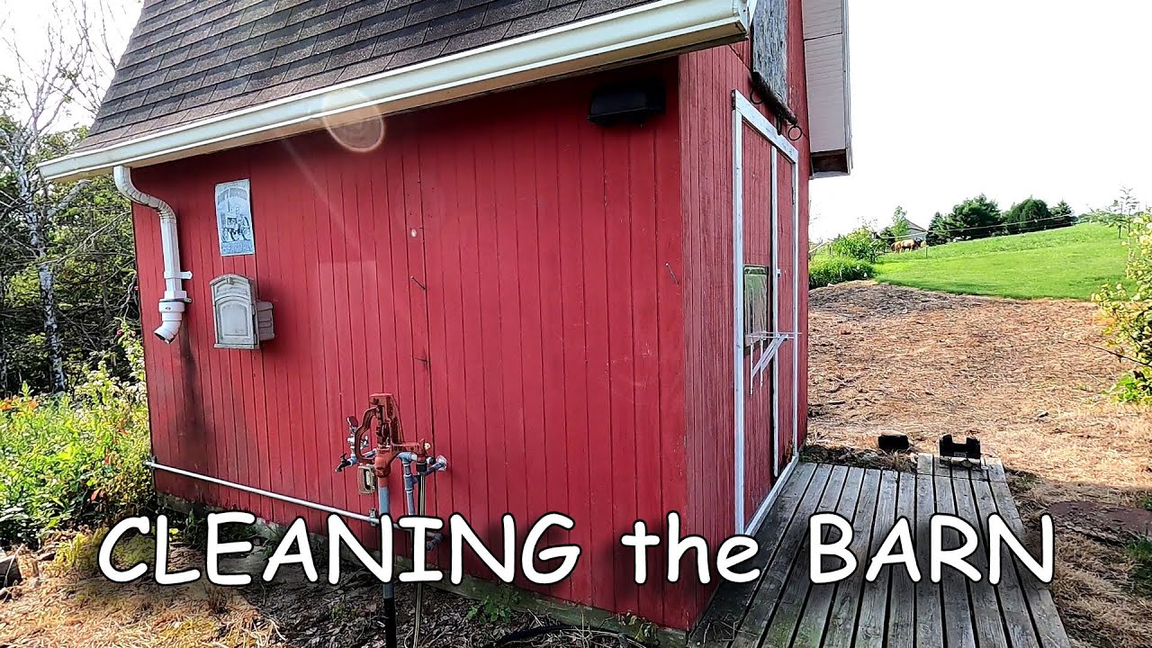 Cleaning Out the Barn for the Big Move! - YouTube