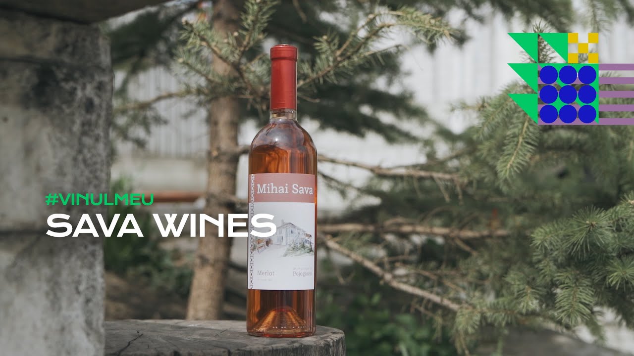VinulMeu. Sava Wines - YouTube