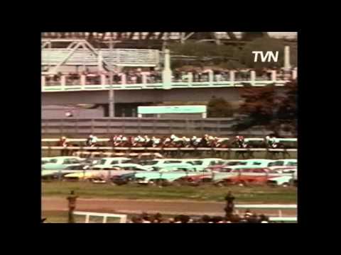 1974 Melbourne Cup- Think Big