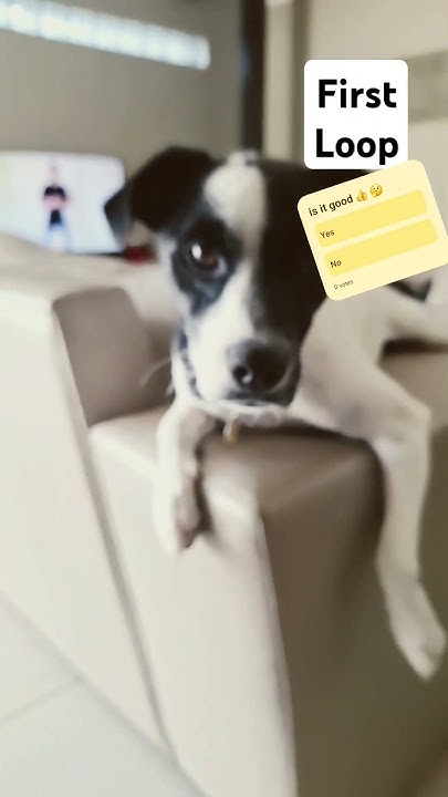 #loop #funny #satisfyingloop #endlessloop - YouTube