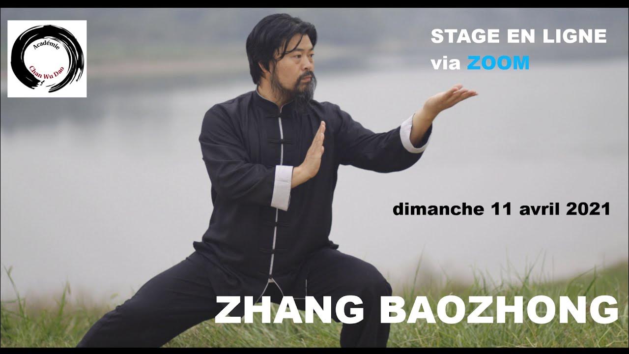 Stage de tai chi en ligne avec Me Zhang Baozhong - YouTube