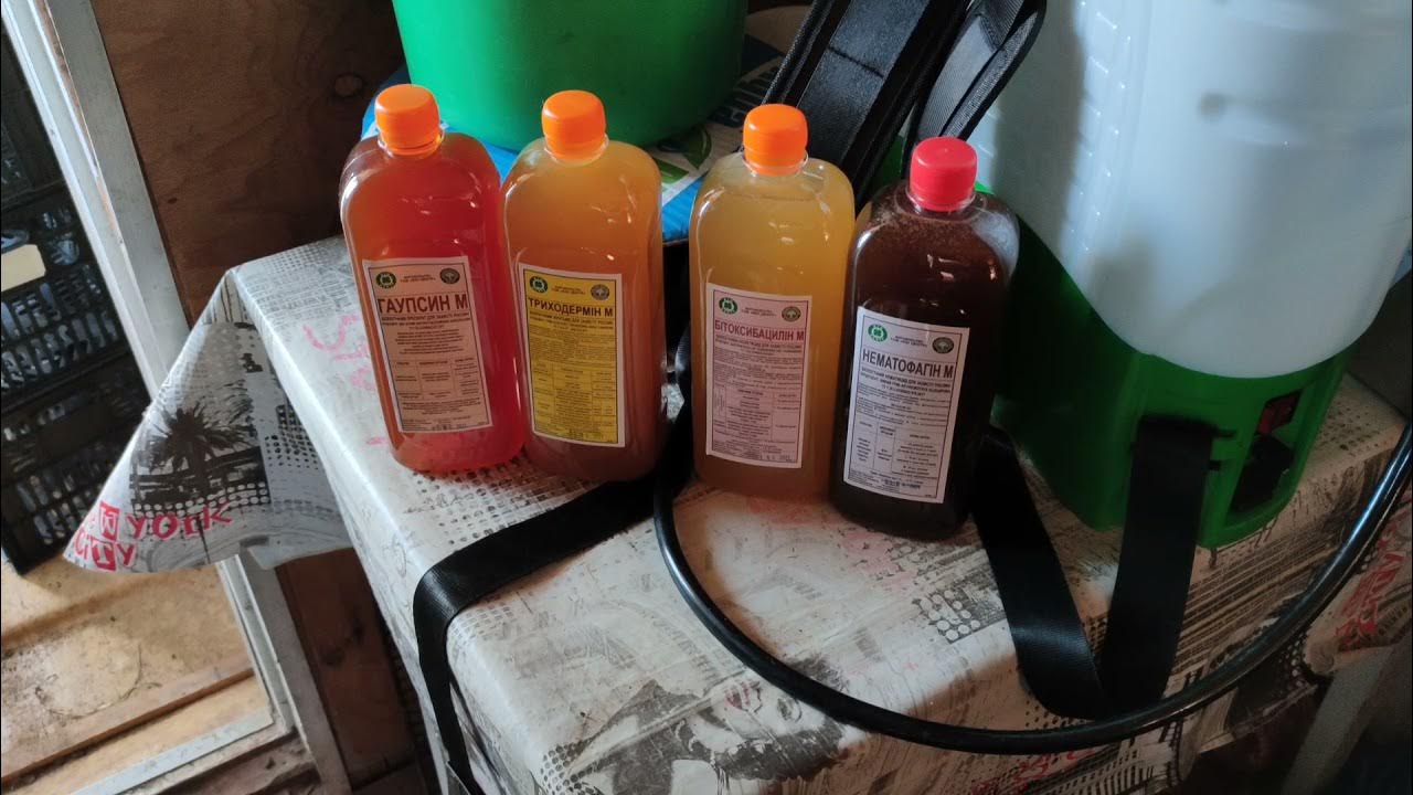 био фунгициды и био инсектициды в домашних условиях. Триходермин ...