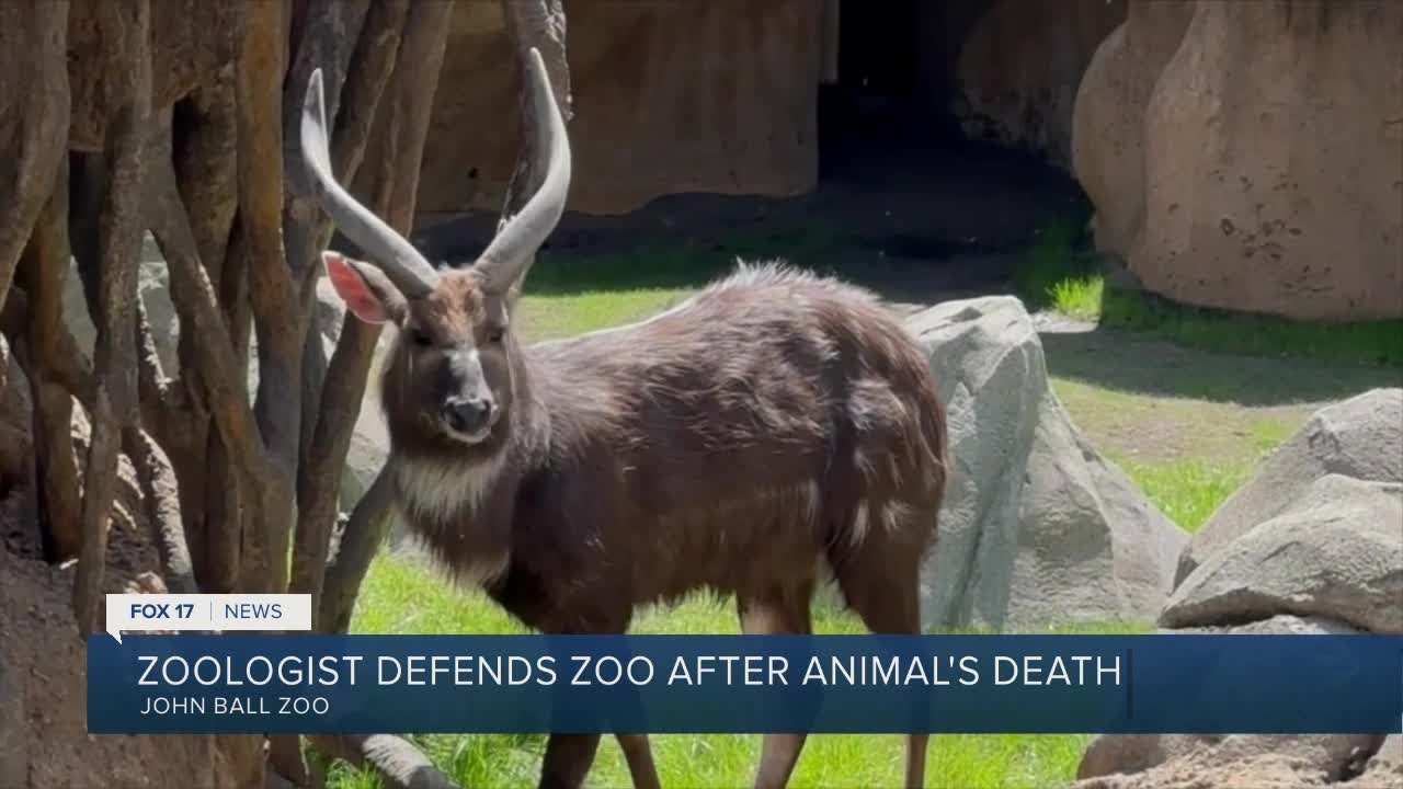 Zoologist defends John Ball Zoo after animal's death - YouTube