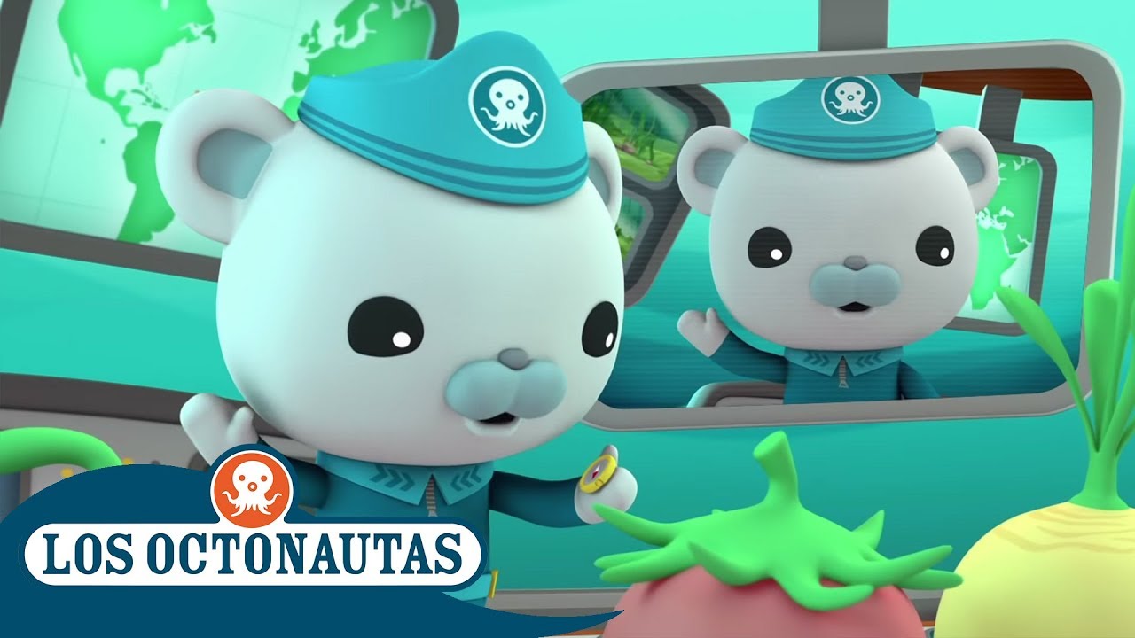Los Octonautas Oficial en Español - Aprende Sobre Criaturas Acuáticas ...