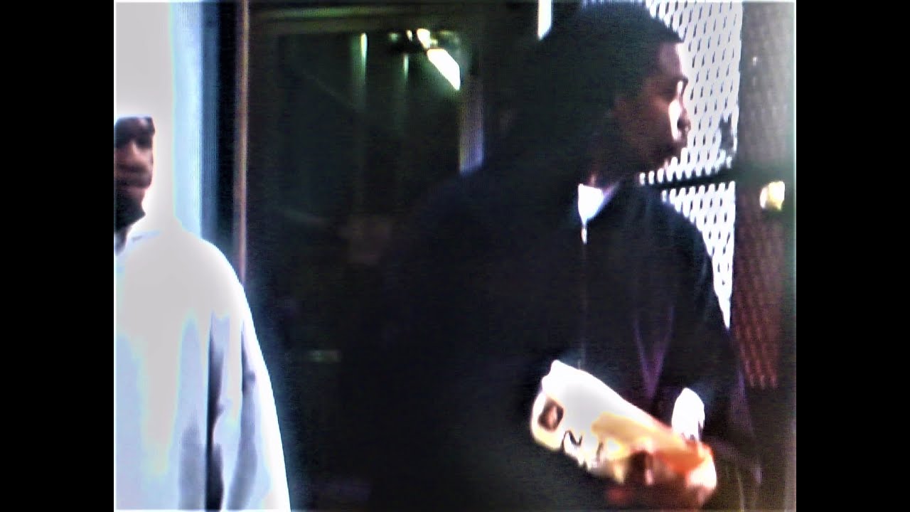 Tribute to Actor Melvin Russell II (Jamal in the Wire)! Happy 34th ...