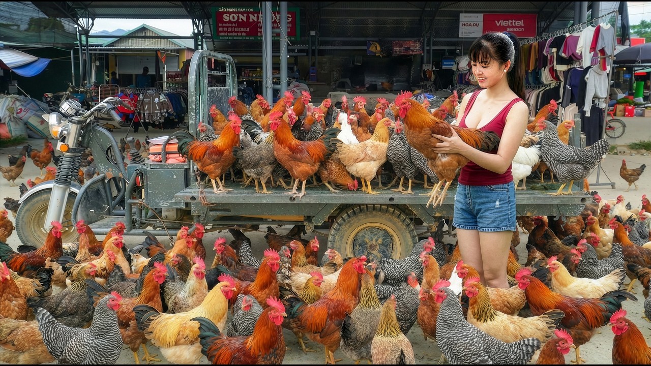 CEO Girl Harvests Hundreds of Chickens After 8 Months of Raising ...