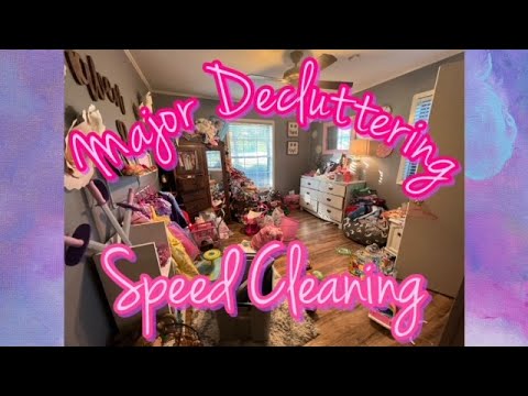 Major Decluttering / Speed Cleaning / Closet Cleanout/ Collaboration ...
