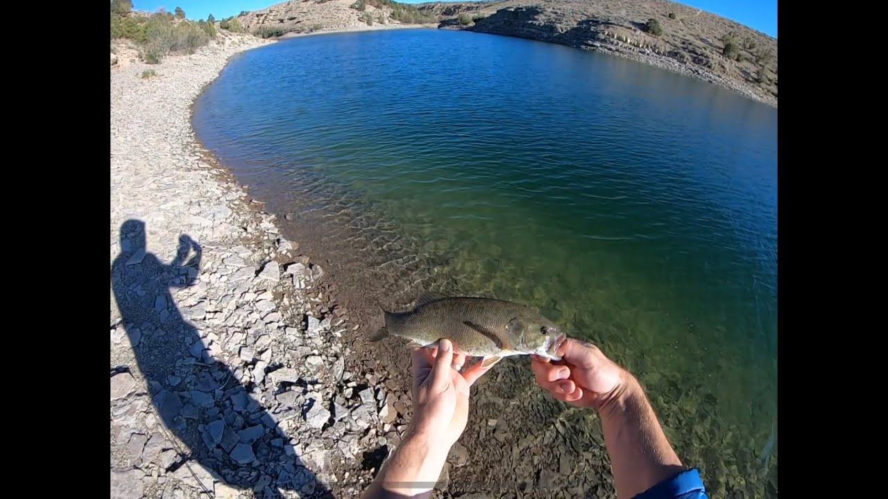 Catching Smallmouth Bass at Starvation Reservoir + Bonus fish! - YouTube