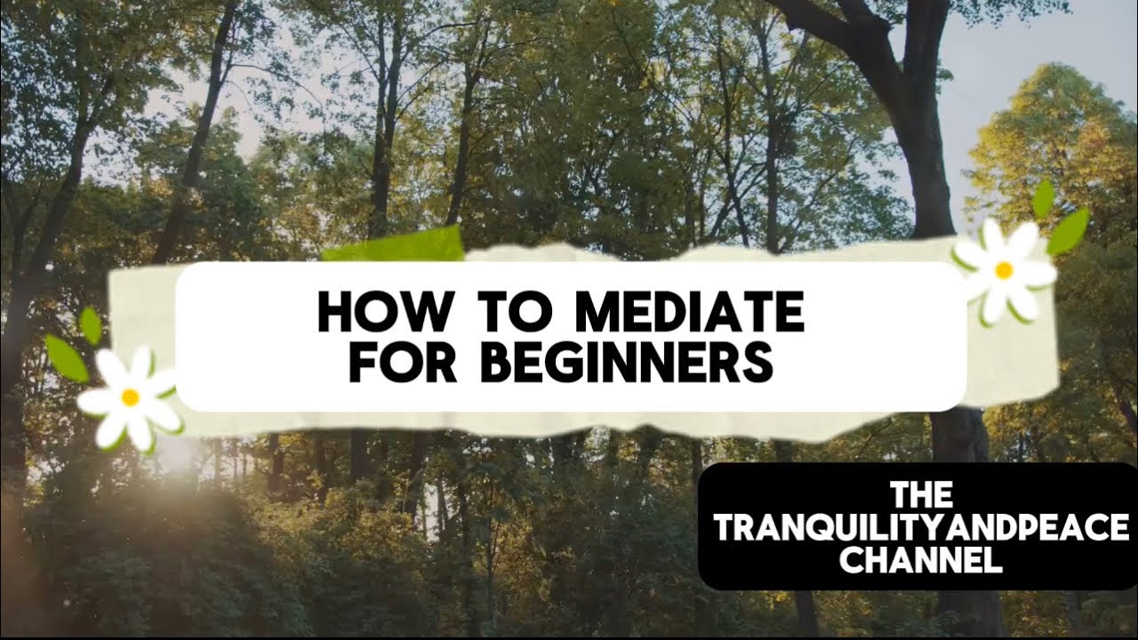 How to Mediate for Beginners Guide ~ - YouTube